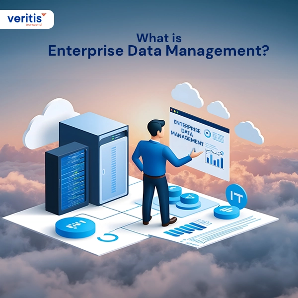 What is Enterprise Data Management? Success-Driven Solutions